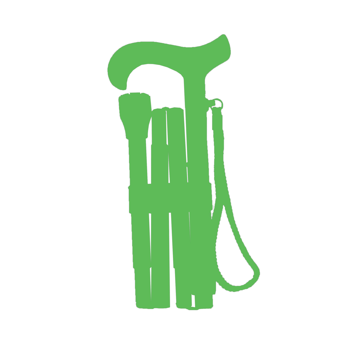 Buy Walking Sticks for Women | Clover Canes