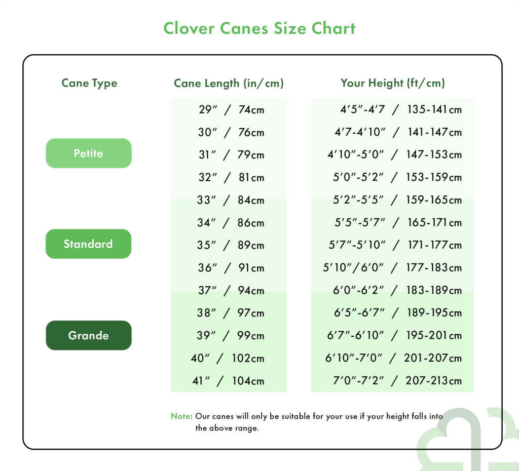 Black Diamond Carbon Fiber Clover Cane - Walking Stick